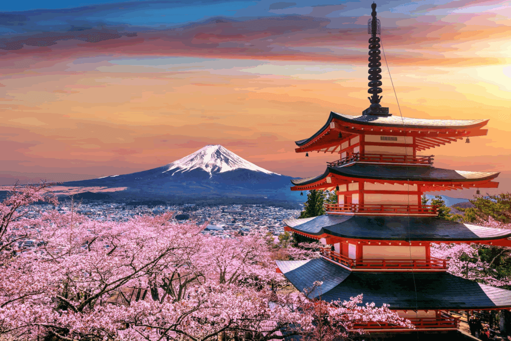 Japón - Brief Therapy Center