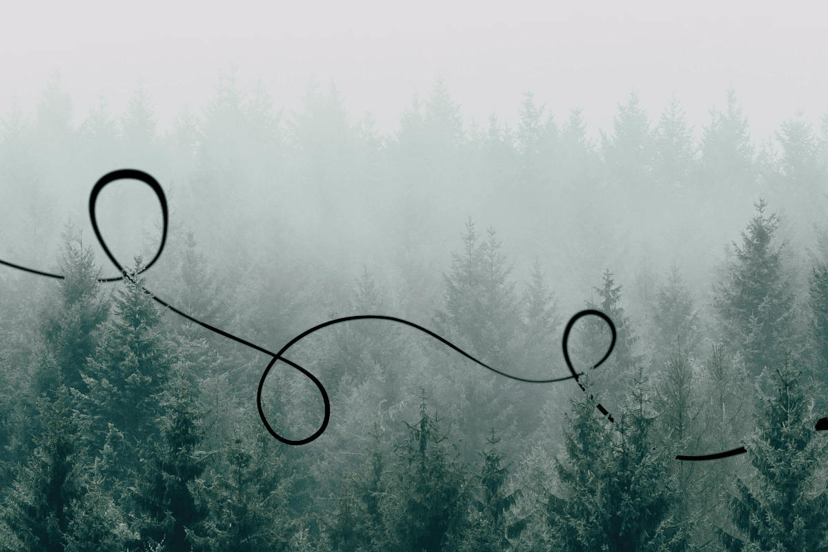 Problem Solving Brief Therapy: the trunk of the tree - Brief Therapy Center